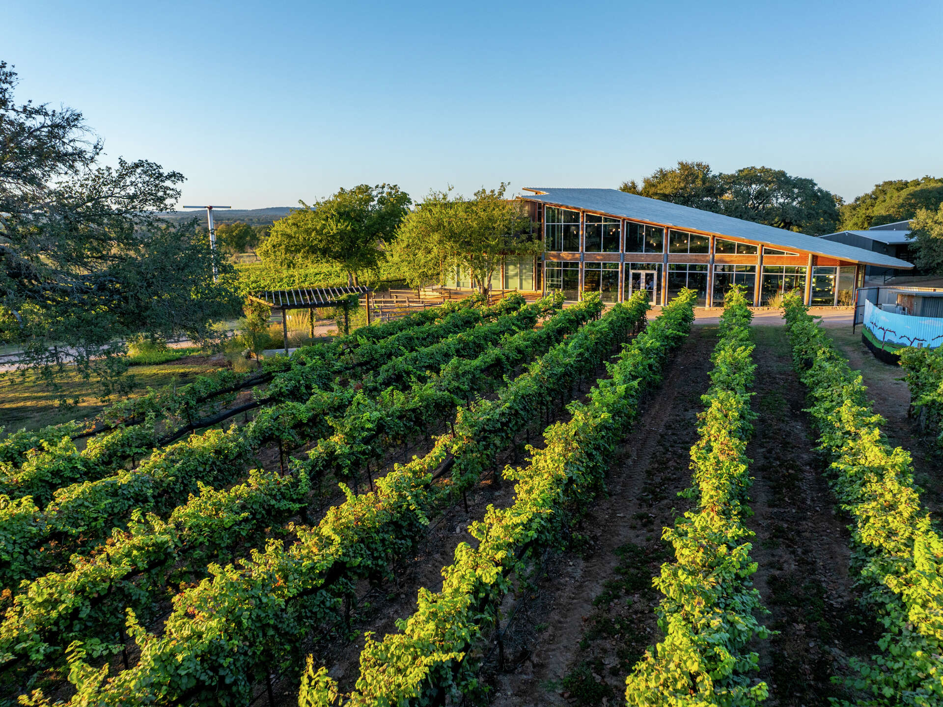 Hill Country winery's prestigious honor is a first for Texas