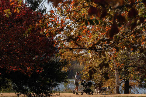 Austin’s fall colors to peak this weekend before cold front moves in