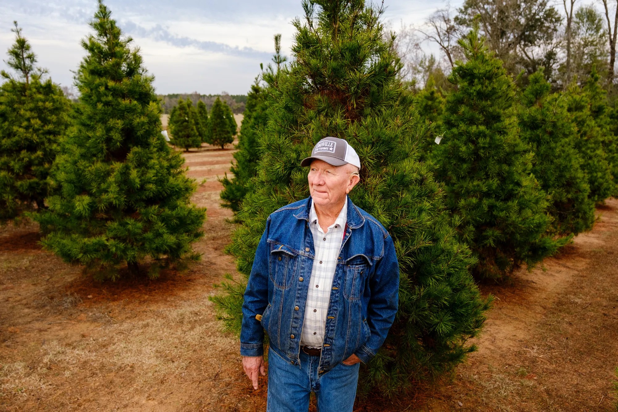 Texas Christmas tree farm closes after 40 years, despite booming sales