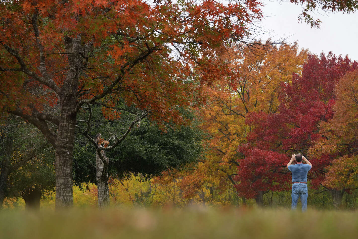 Austin’s fall colors to peak this weekend before cold front moves in