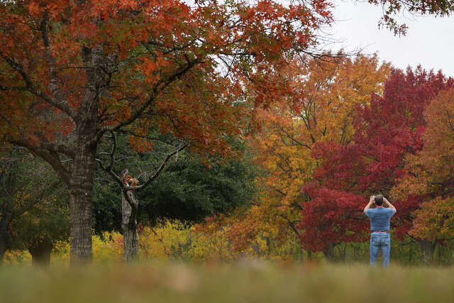 Austin’s fall colors to peak this weekend before cold front moves in