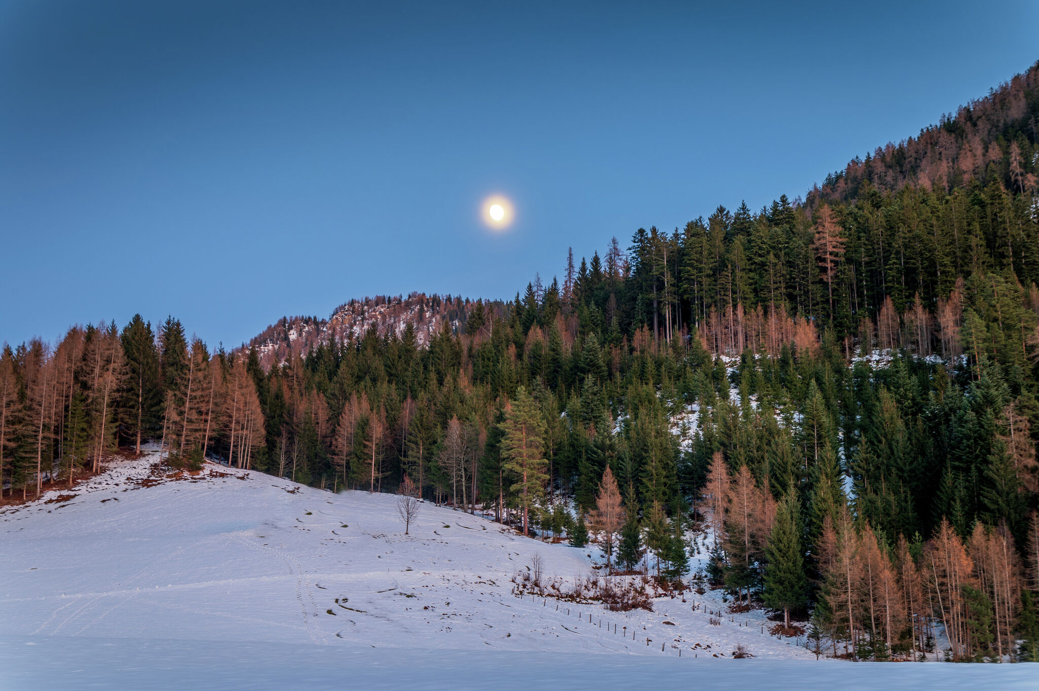 KC Sisters of Avon are five siblings with big music dreams