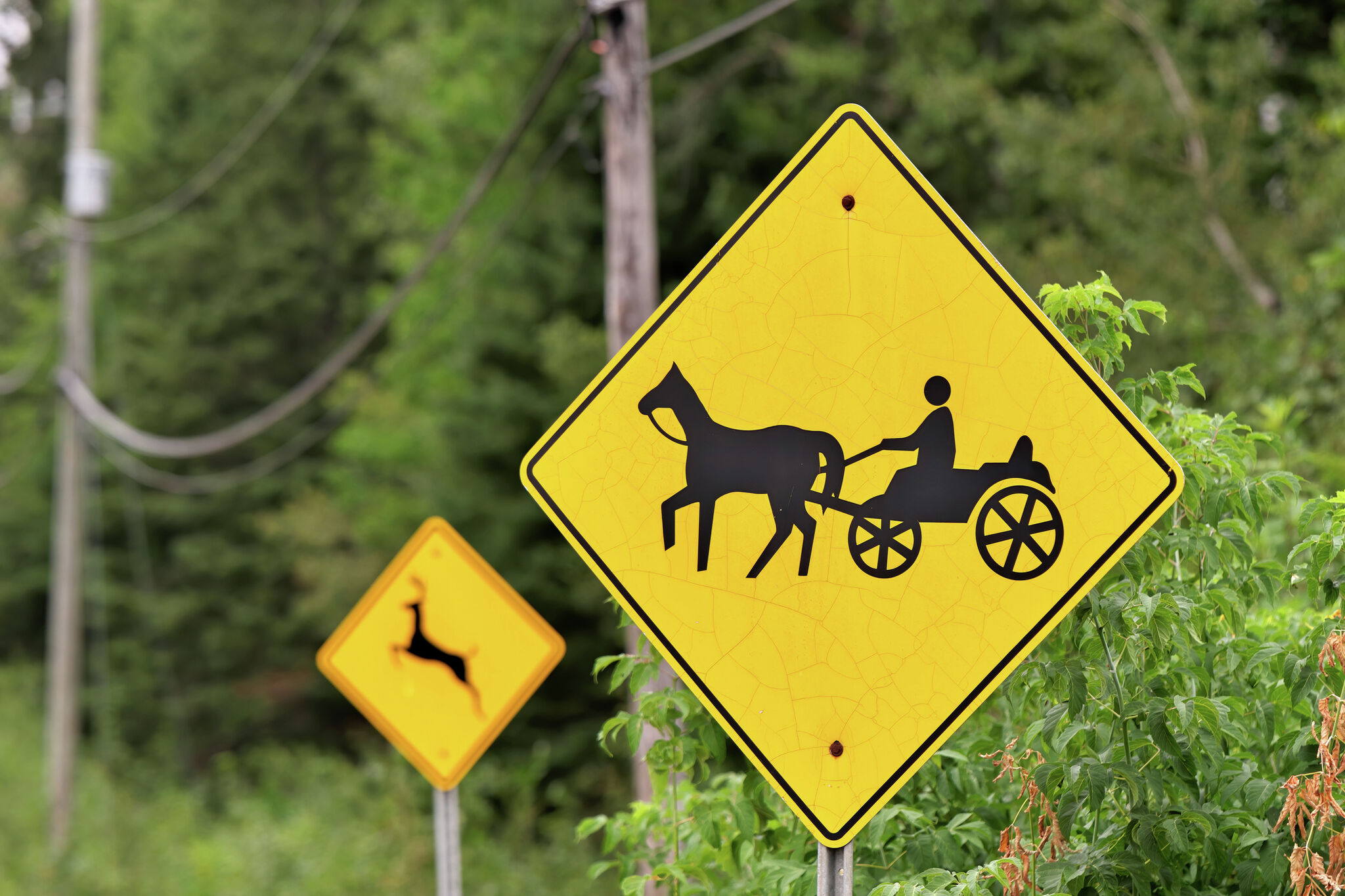 Tuscola County, Amish seek safer Cass River crossing