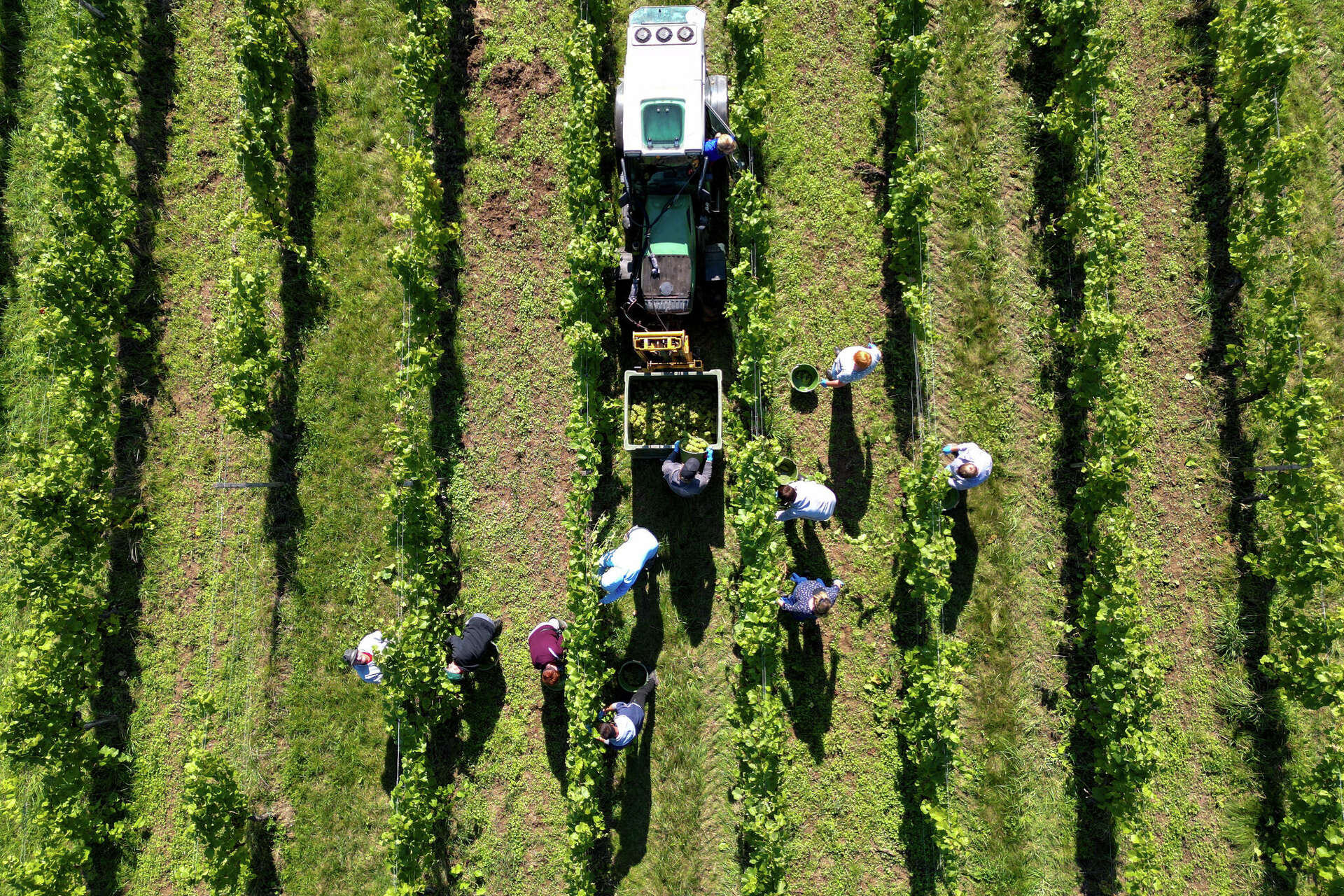 Buzzy $3M winery files plan for giant Texas Hill Country estate