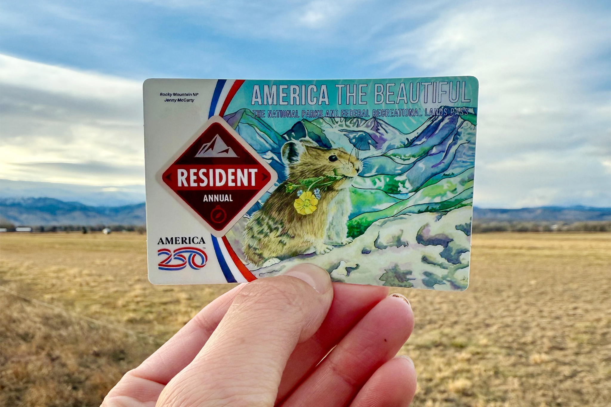 One artist's work-around to Trump's face on national parks passes