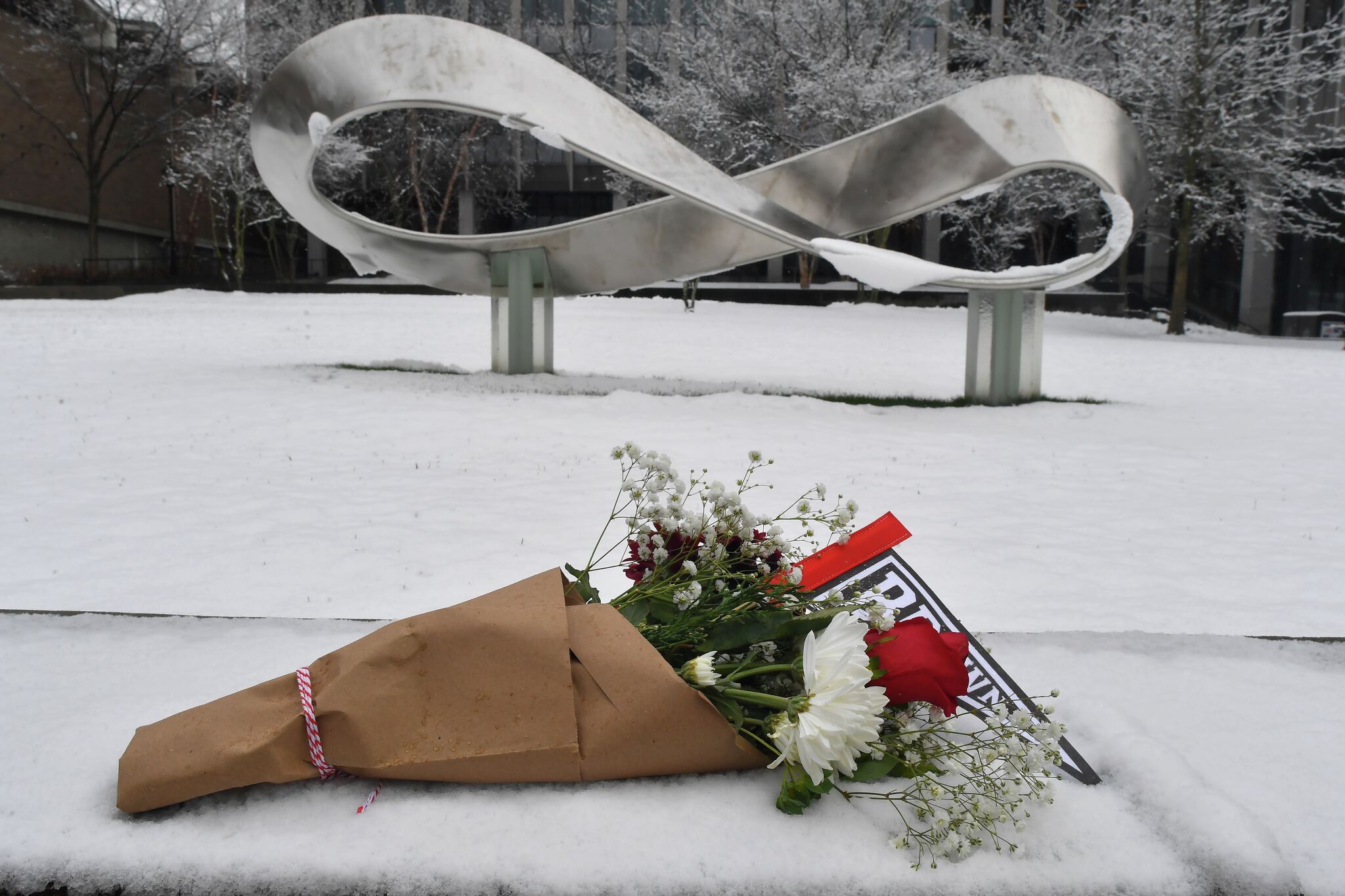 Brown, Australia shootings revive gun debate after Sandy Hook