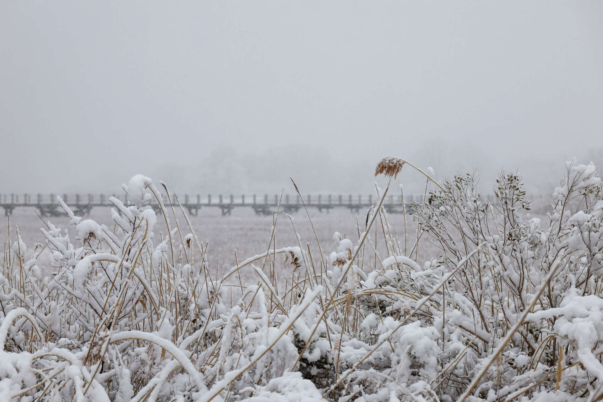 How much snow did Connecticut get on Sunday?