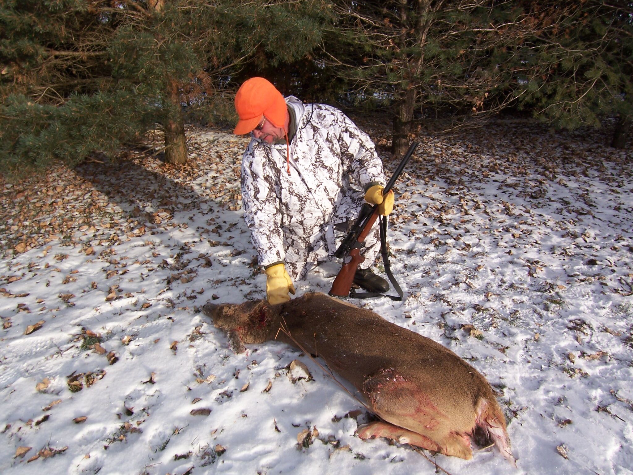 Michigan antlerless deer season: fill tags and freezers