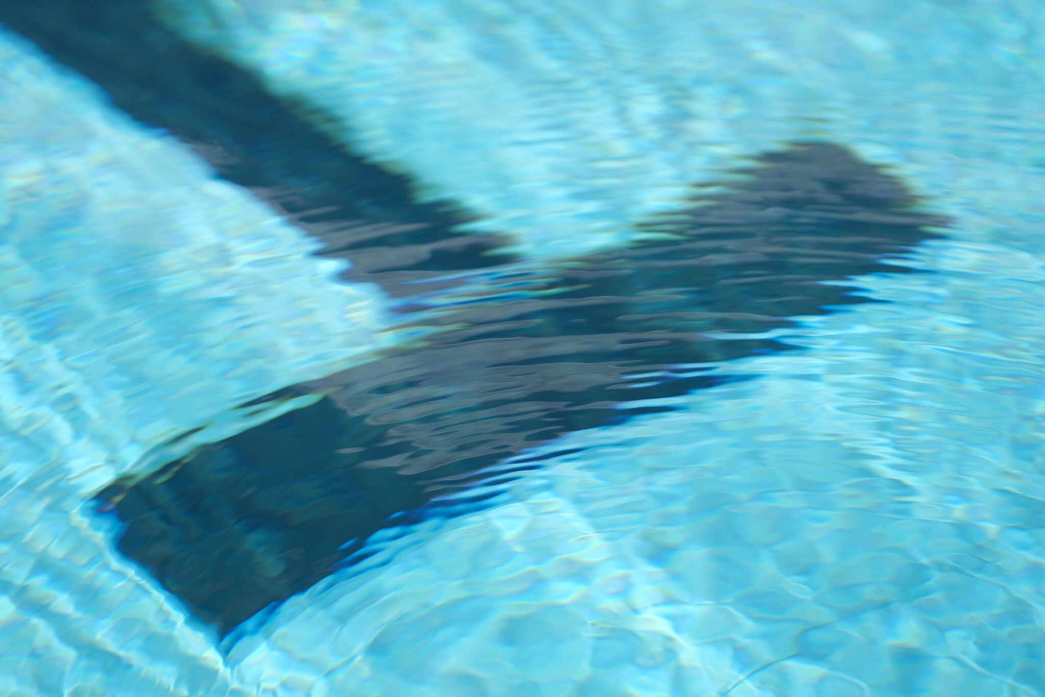 Manistee boys swimming logs PRs, eyes Spring Lake Invite