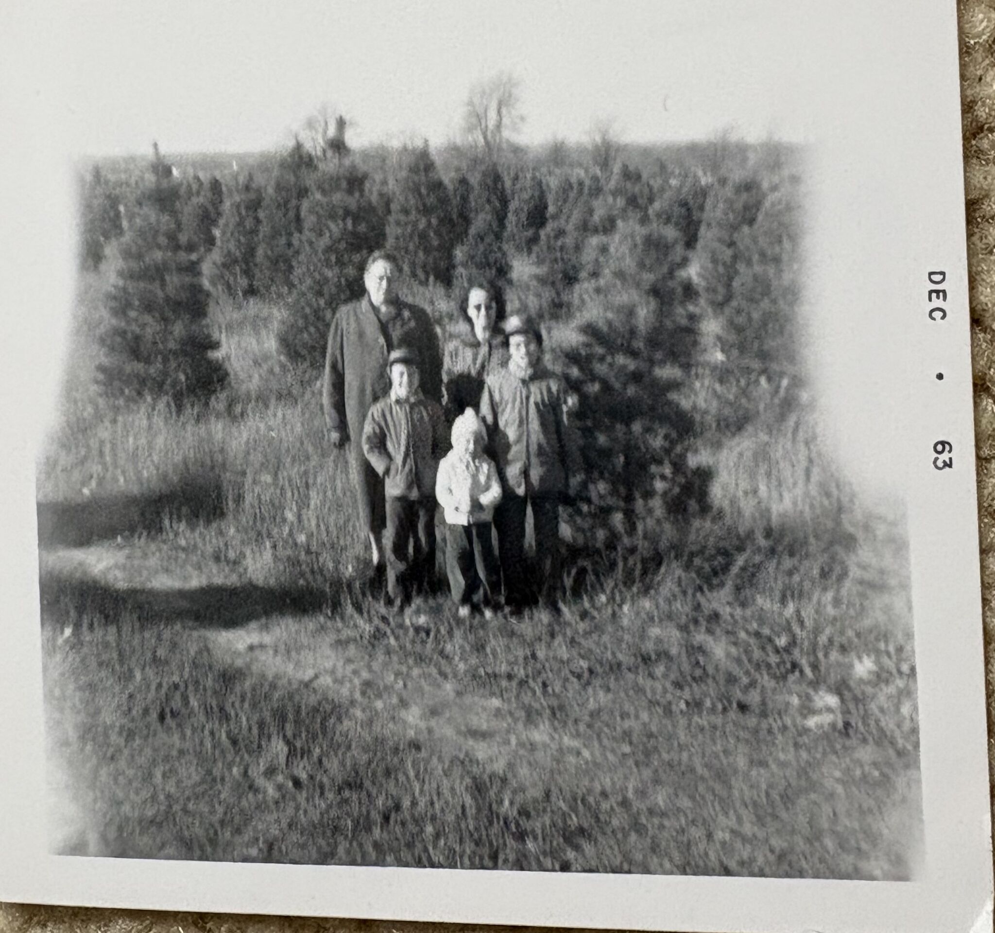 Ferndale Christmas tree memory recalls a new tradition