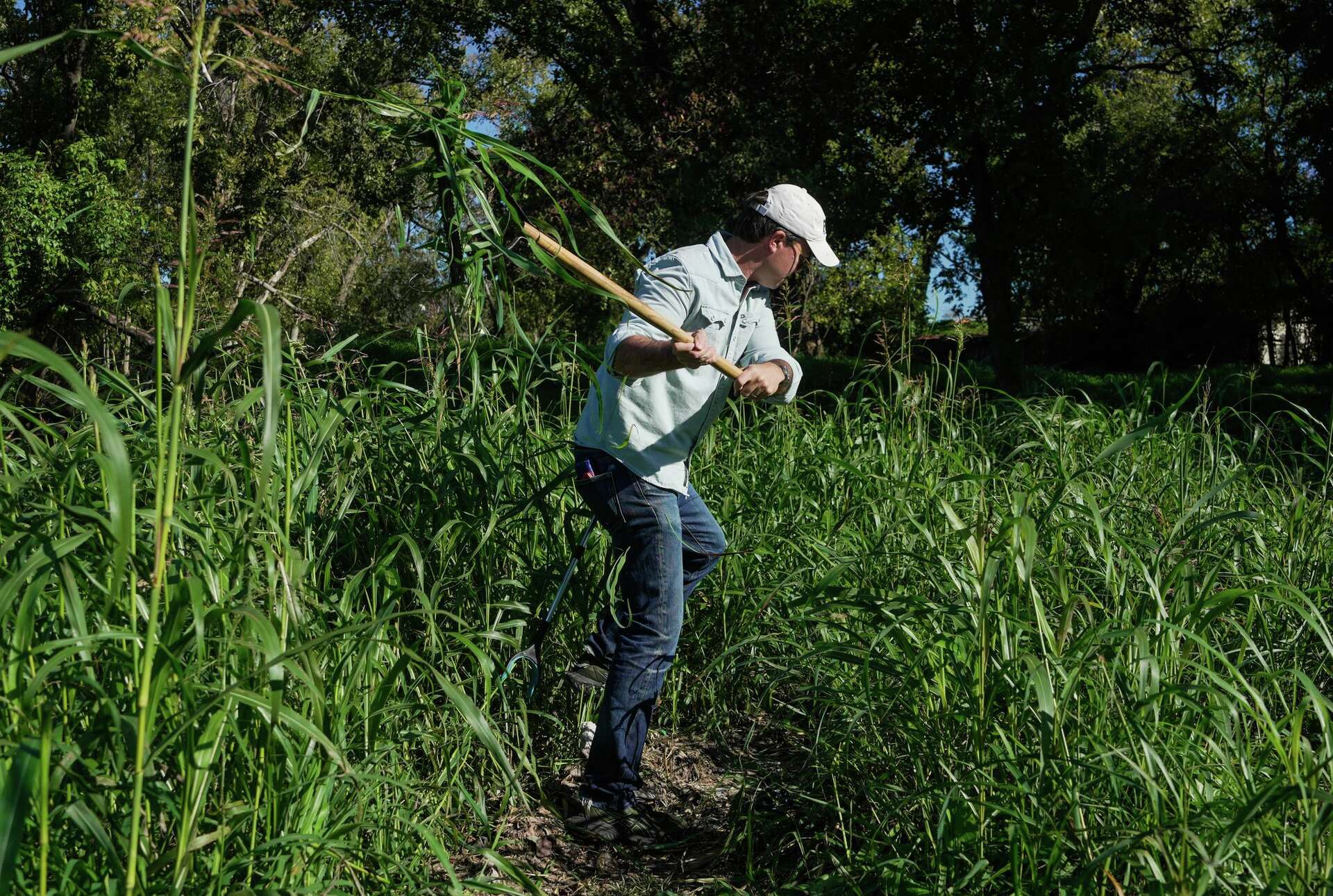 What exactly is a bayou — and why Houston wouldn’t exist without them