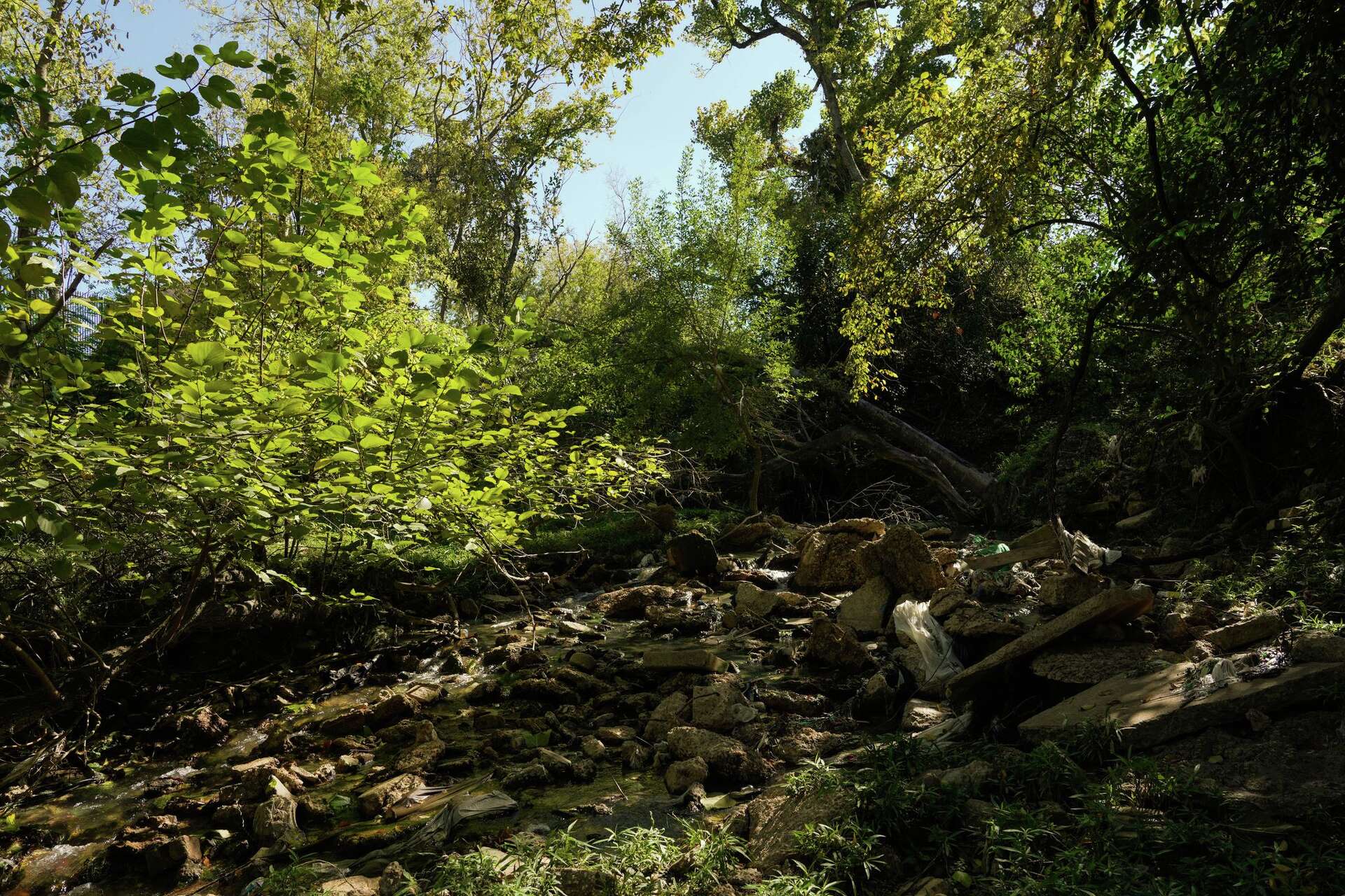 What exactly is a bayou — and why Houston wouldn’t exist without them