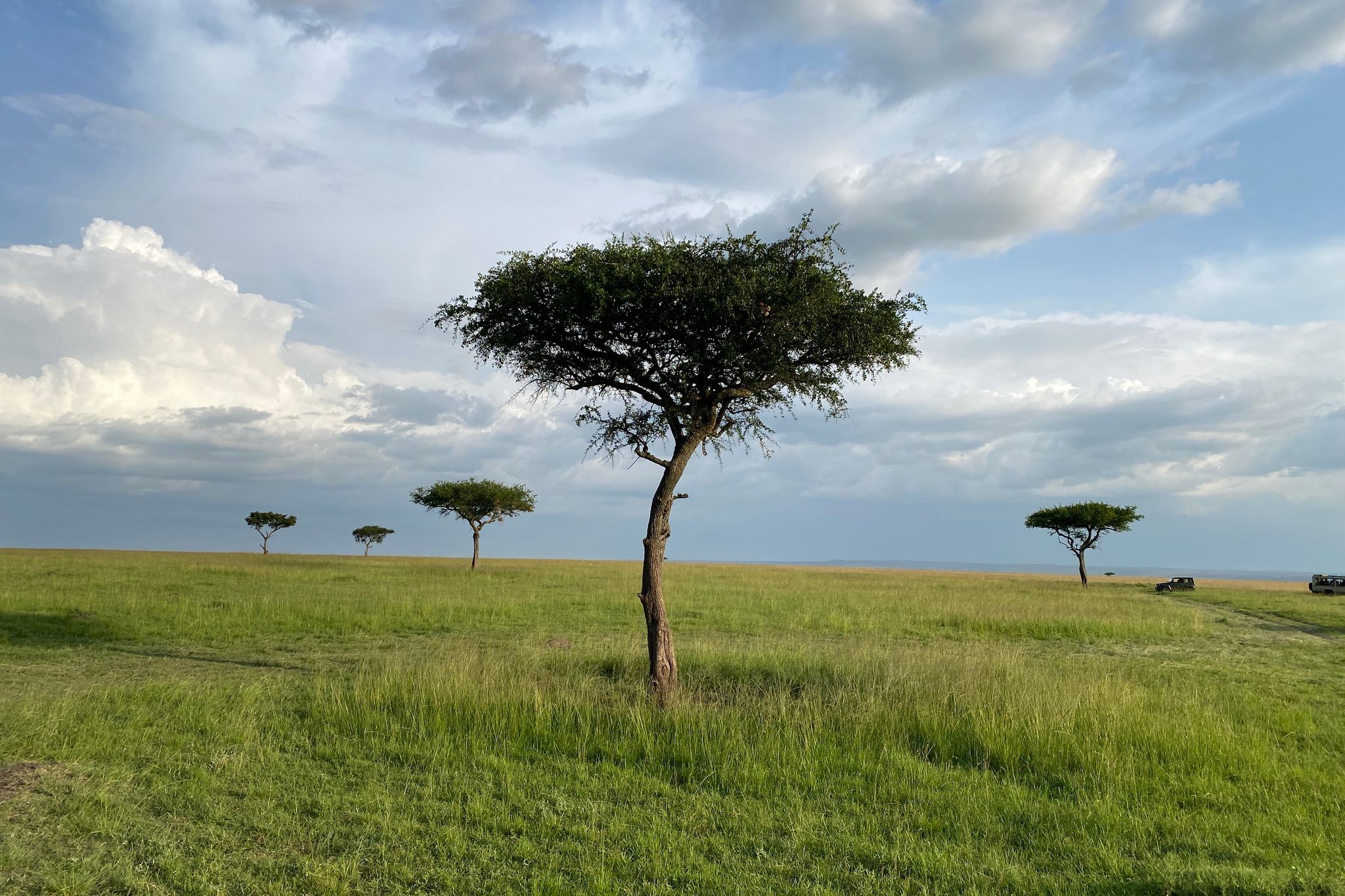 Kenya's environment court to consider a claim that a lux safari camp ...