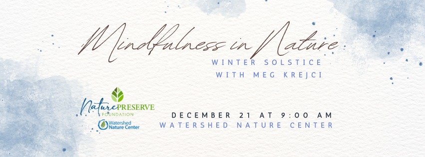 Blue Jays newcomer Cody Ponce takes page from playbook of his brother ...