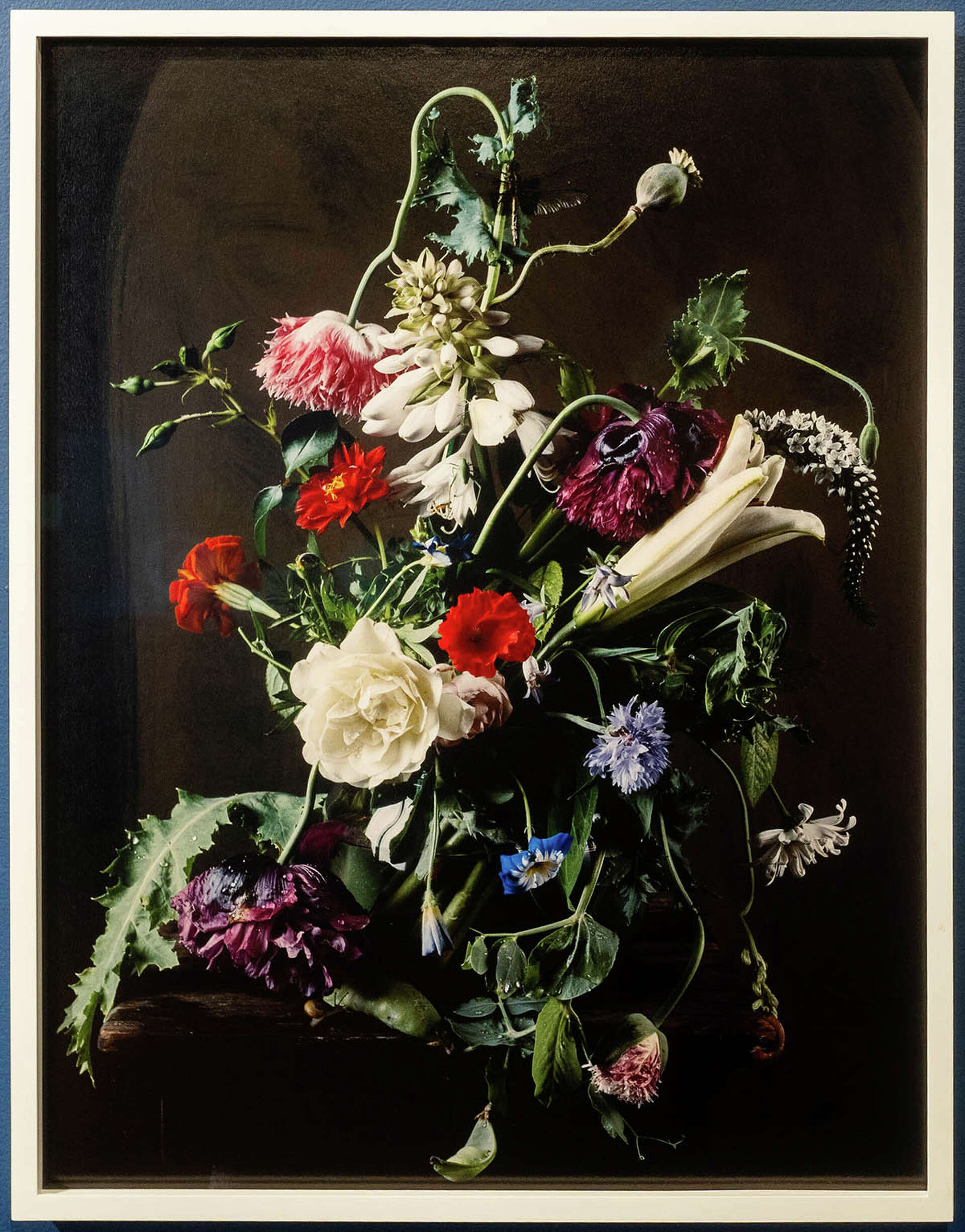 ‘Still Life’ exhibit comes alive, unites women artists