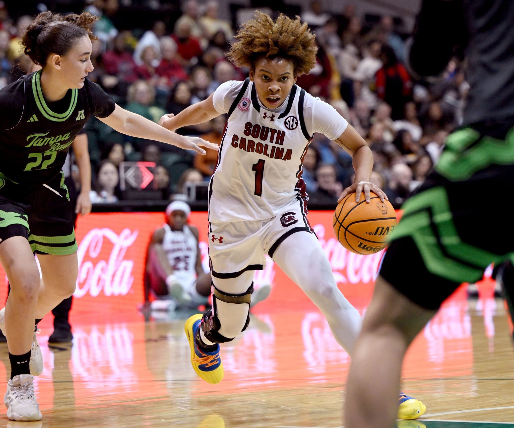 Joyce Edwards scores 34 as South Carolina beats South Florida 103-44