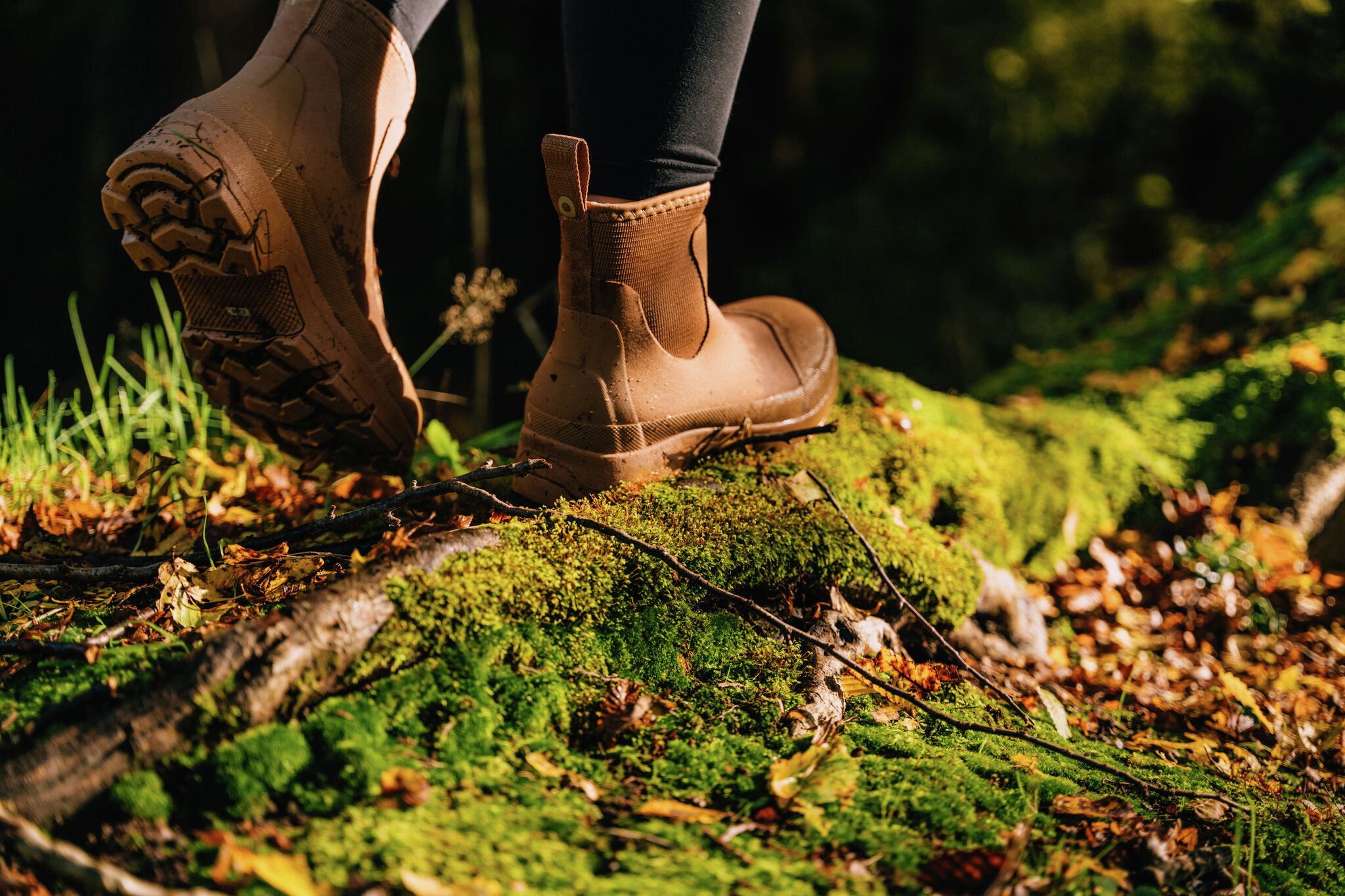 Illinois First Day Hike event set for New Year's Day