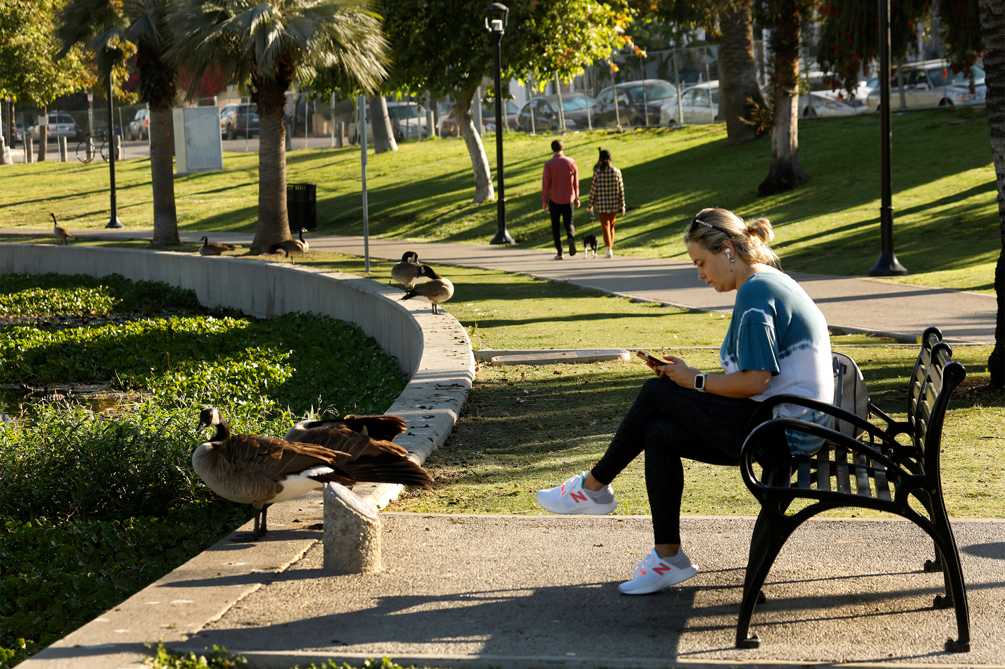 How much will it cost to make LA a park-friendly city? $15 billion.