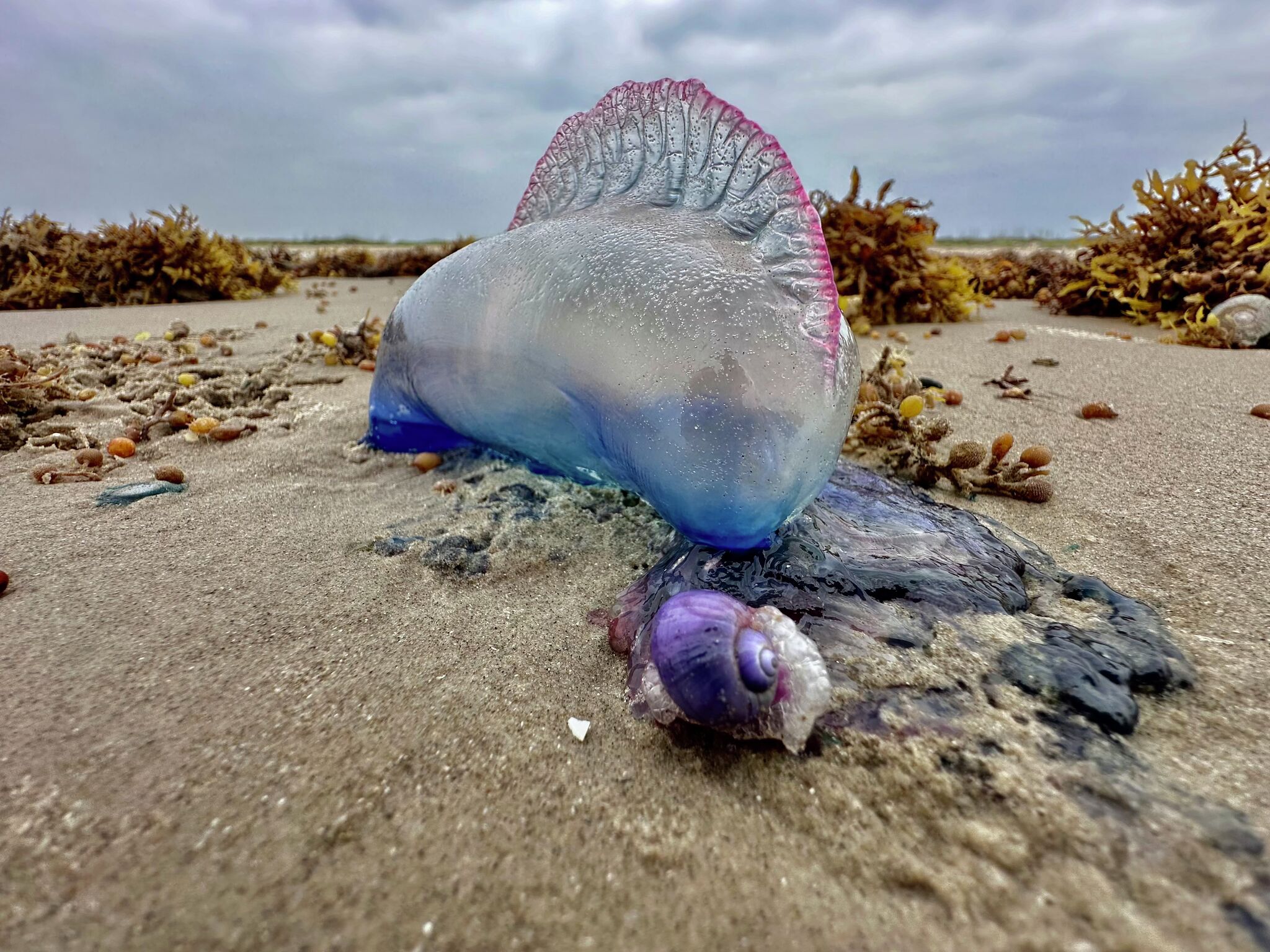 Liberan a 130 niños y personal escolar secuestrados el mes pasado en ...