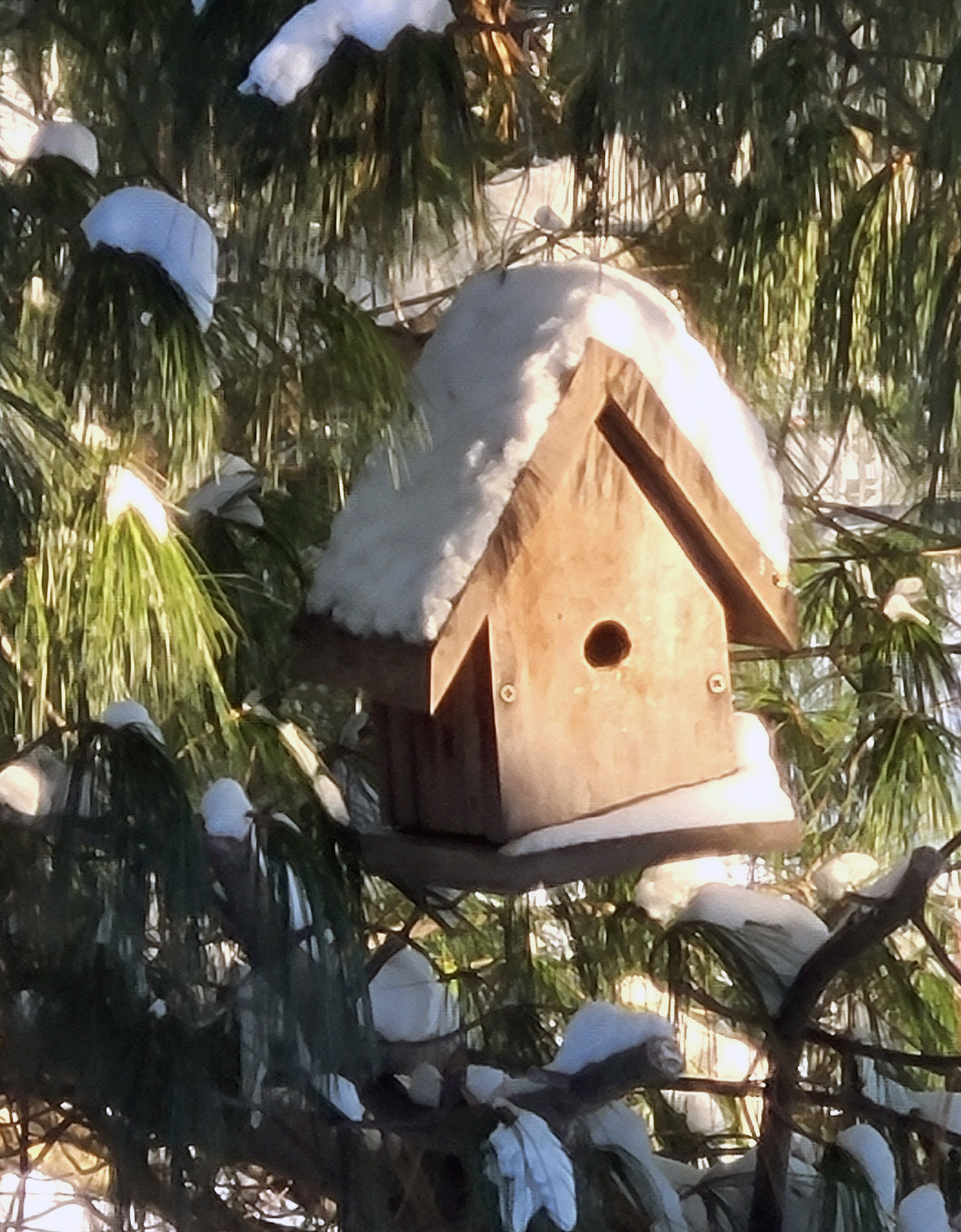 No. 1 Indiana looks to defy painful past against traditional power ...