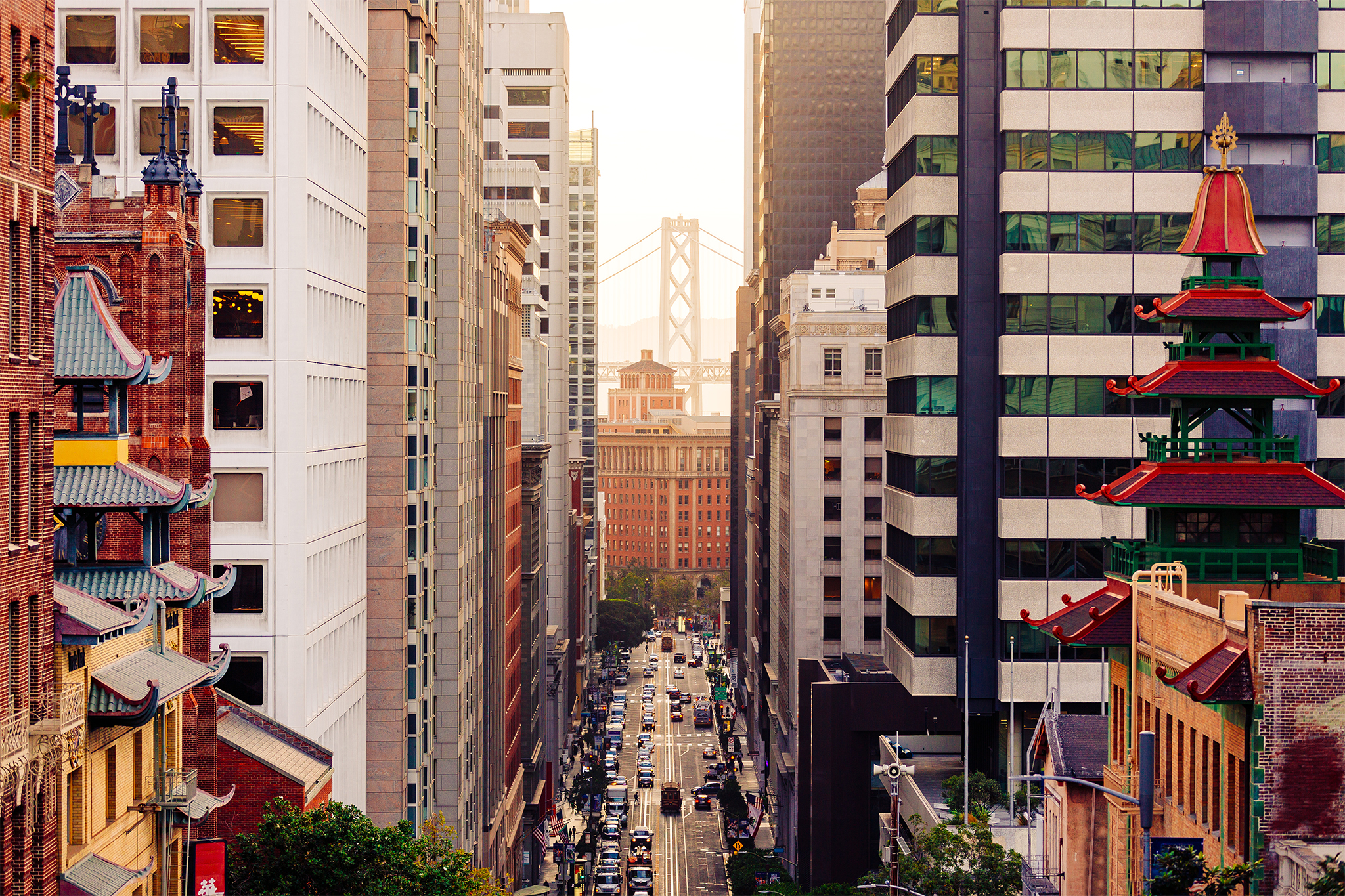 New life and the long shadow of San Francisco