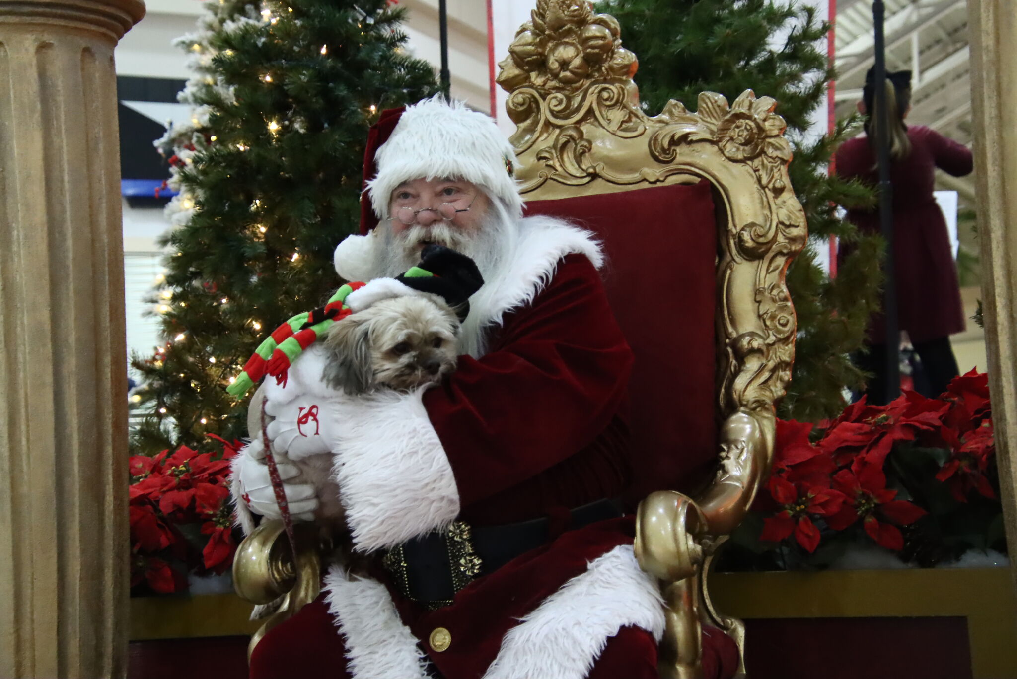 Minnesota Twins and first baseman Josh Bell finalize $7 million, 1-year ...