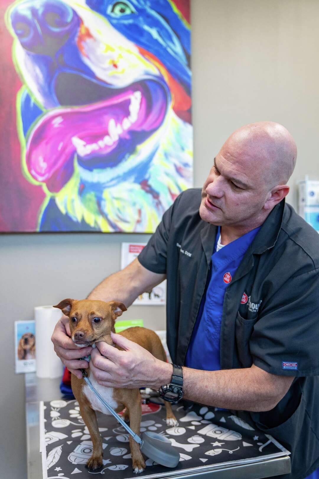 Firehouse Animal Health Center Kyle