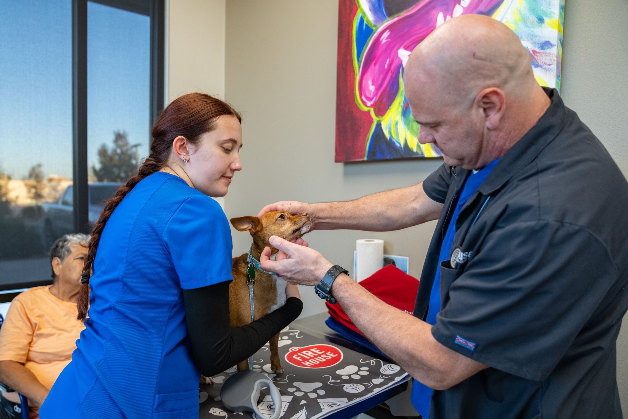 Texas Senate race reflects Republican shift against Afghan refugees