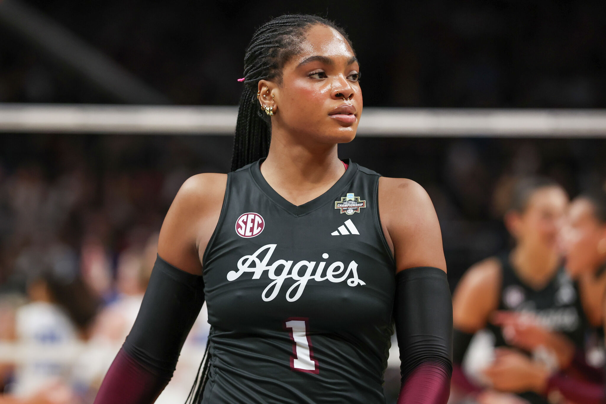 Texas A&M volleyball vs Kentucky: Aggies sweep behind service pressure
