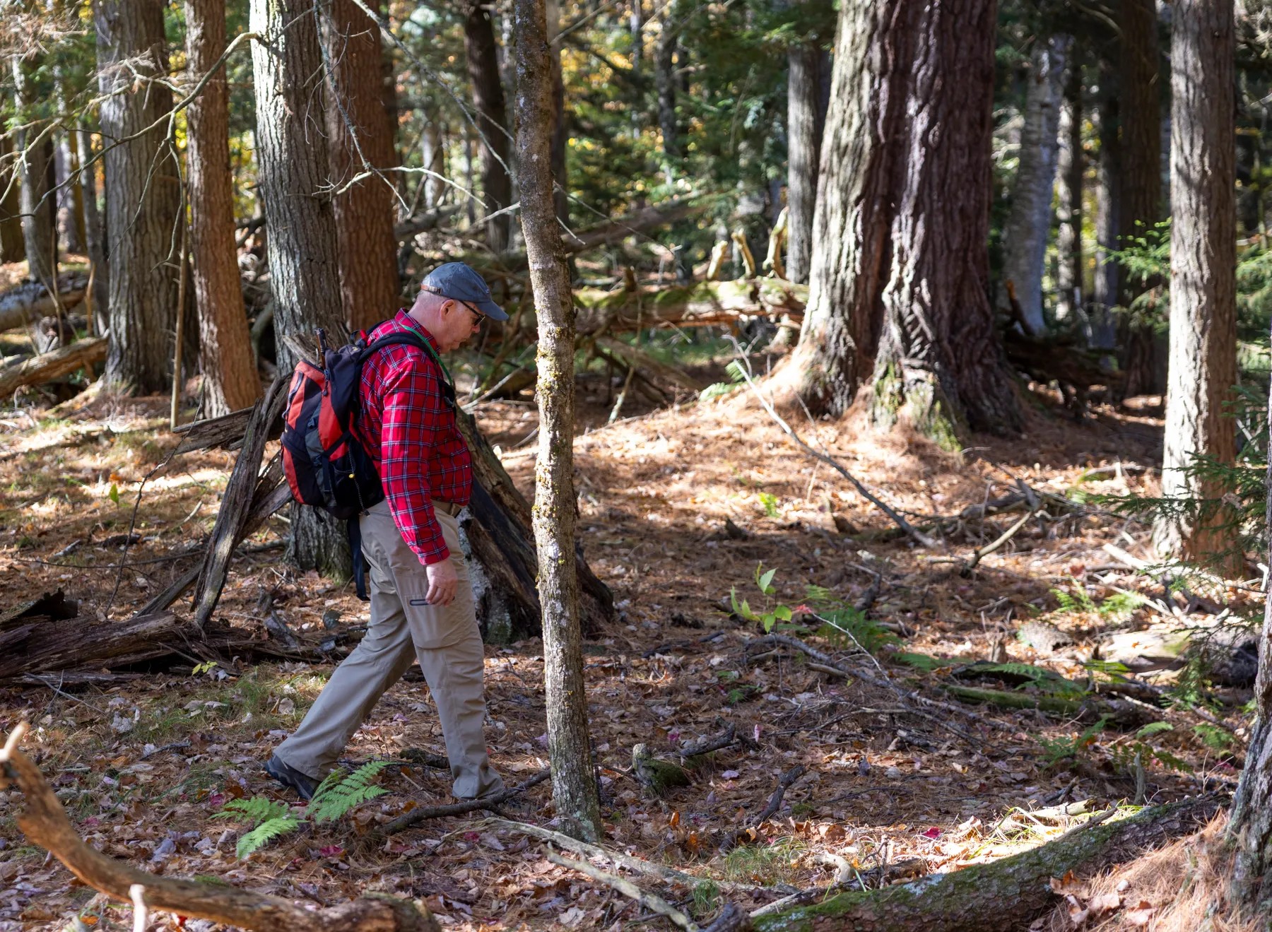 Nasir Meyer scores 25 to lead Wyoming to 87-72 victory over South ...