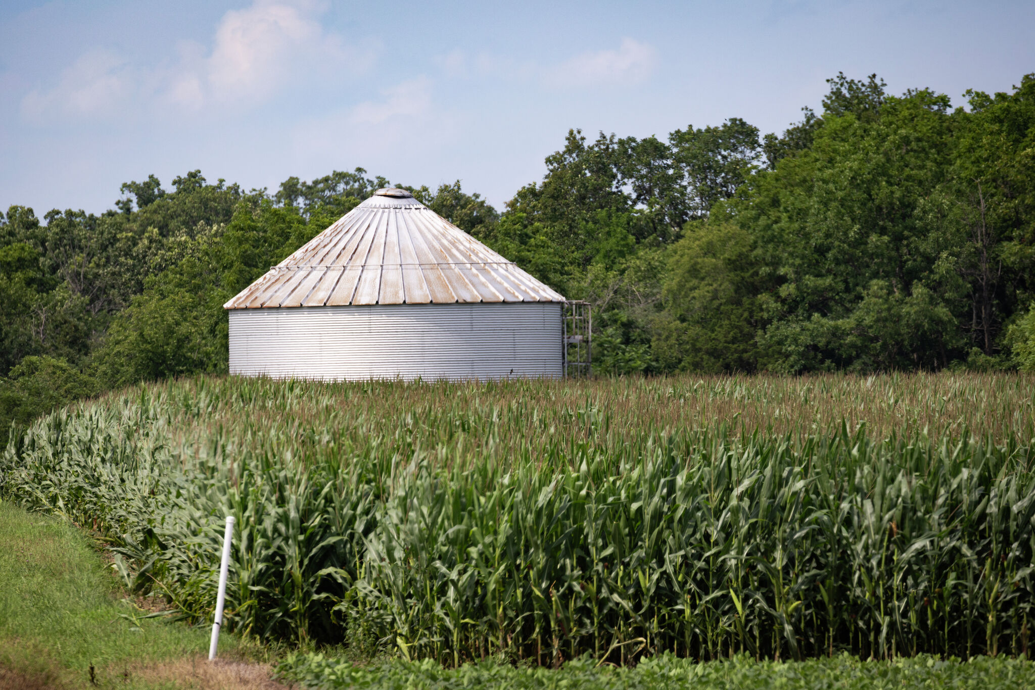 Man charged with murder after bow and arrow killing in New Jersey