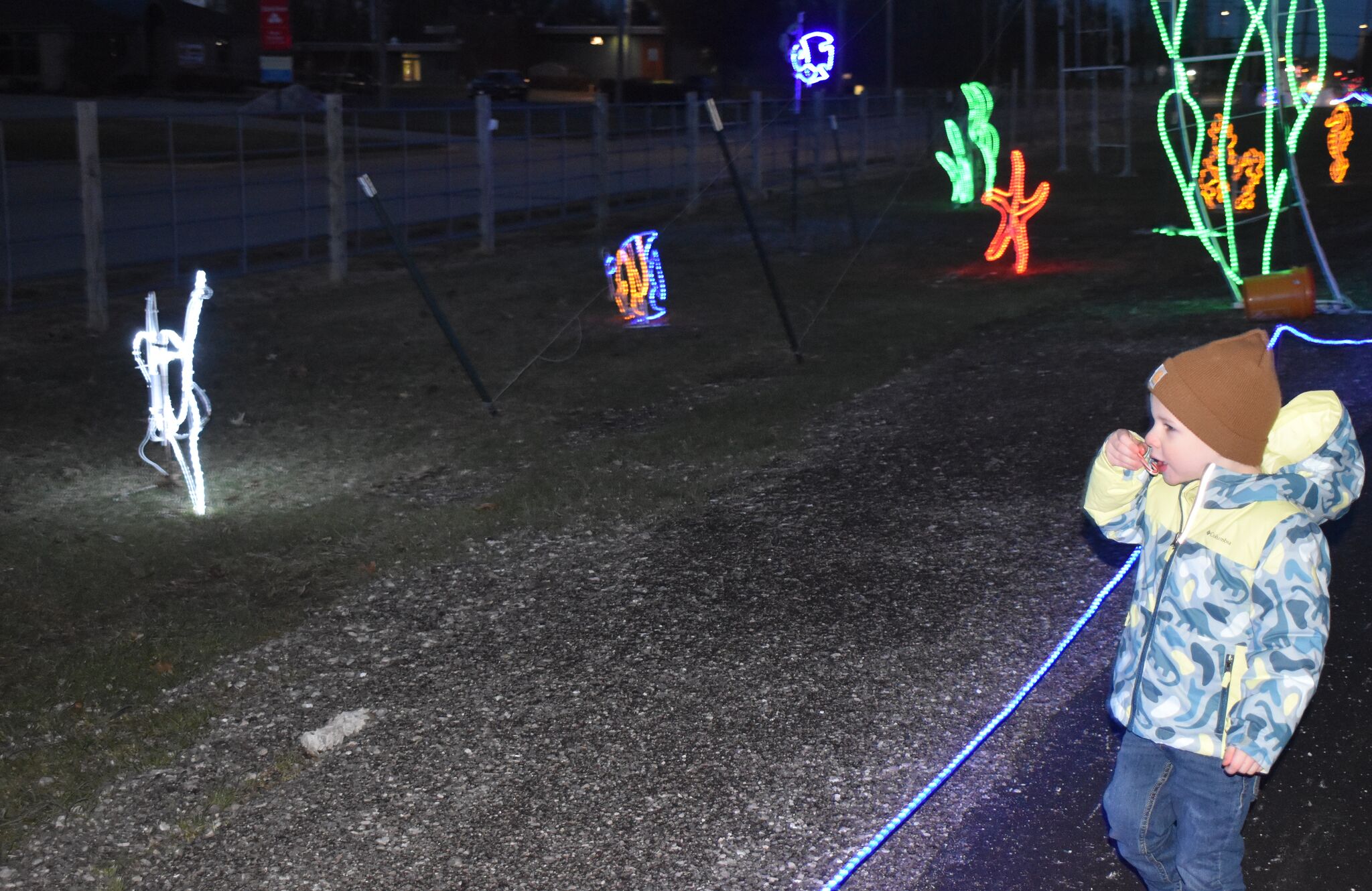 Indonesia cricketer becomes first to take five wickets in one over in a T20