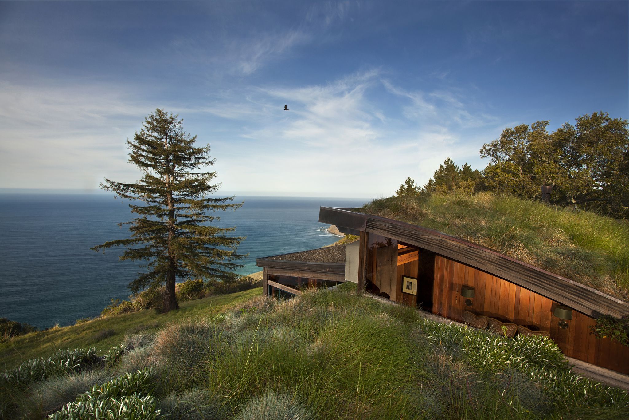 Falcons fire coach Raheem Morris, GM Terry Fontenot hours after ...