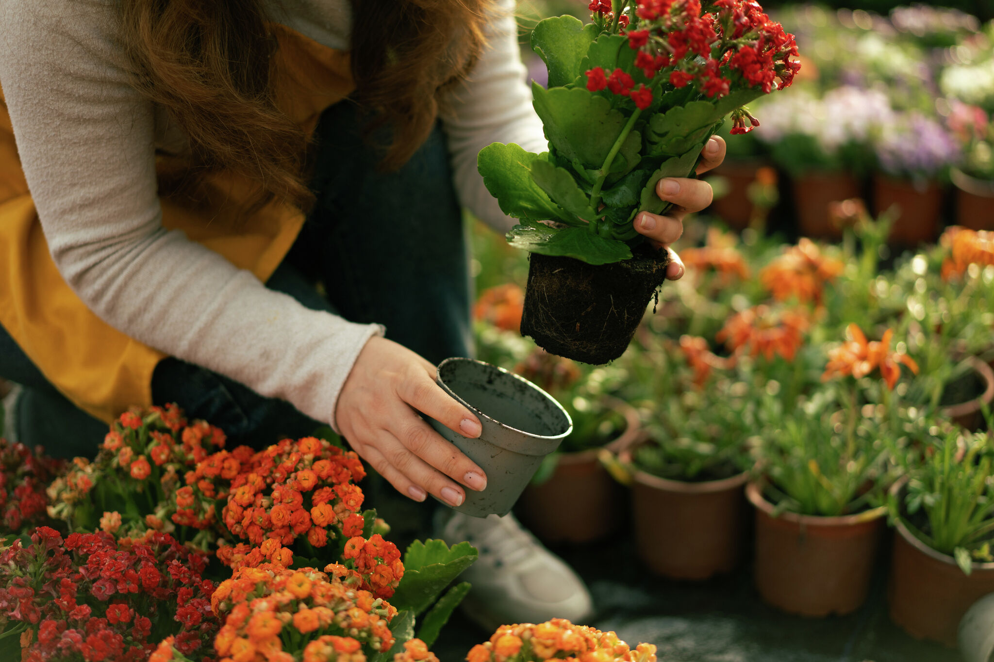 WICS NewsChannel 20 hires Mark Hespen as anchor