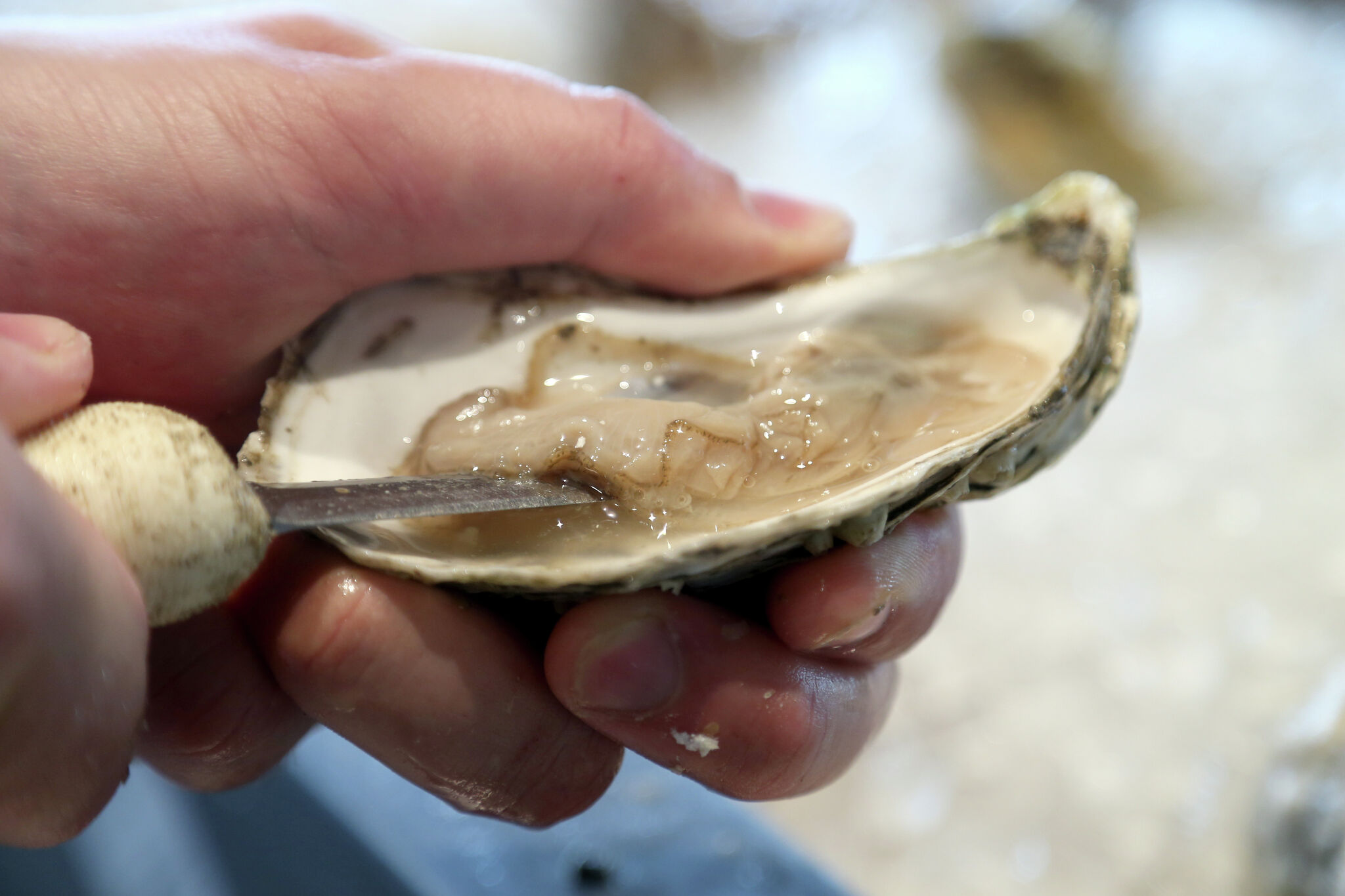 CT pays $300K to settle suit claiming leaked job interview questions