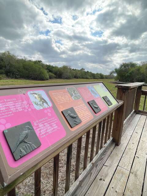 Explore Resaca de la Palma State Park in Brownsville