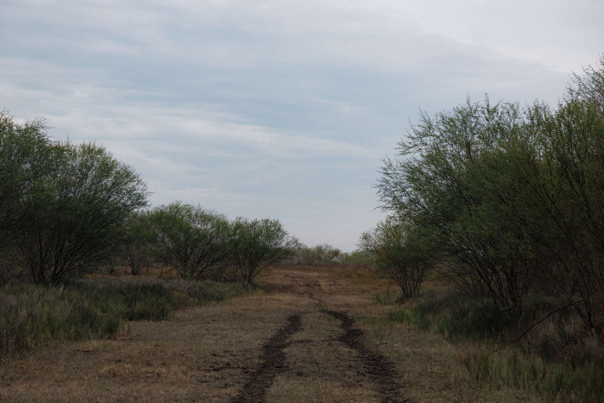 How a rancher and a nonprofit teamed up to protect Texas prairie land