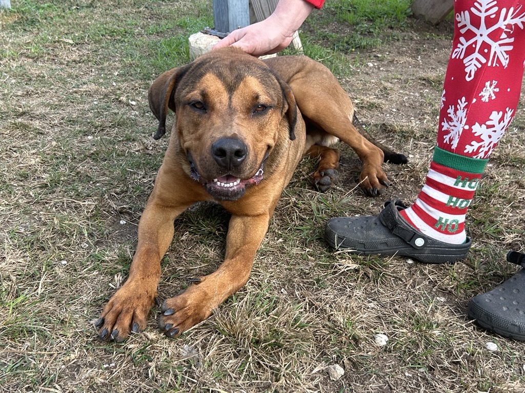 Winning numbers drawn in Thursday’s South Carolina Cash Pop