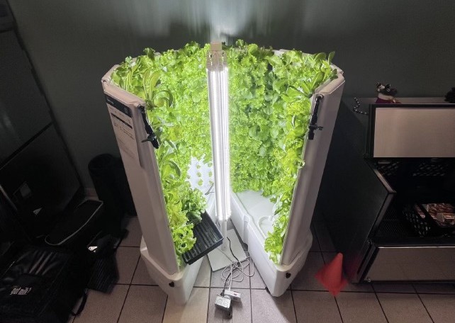 Michigan red, white and blue license plate returns 2026