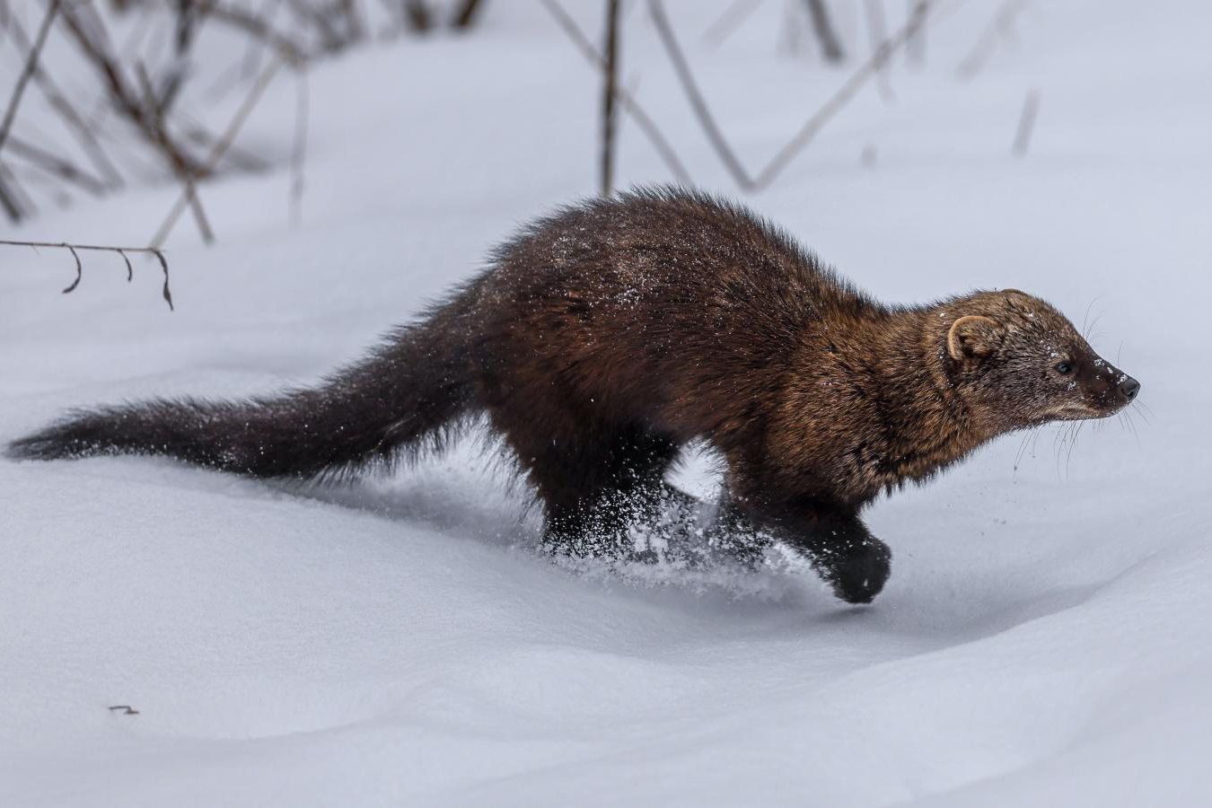 Catskill Mountains locations continue to see more visitors