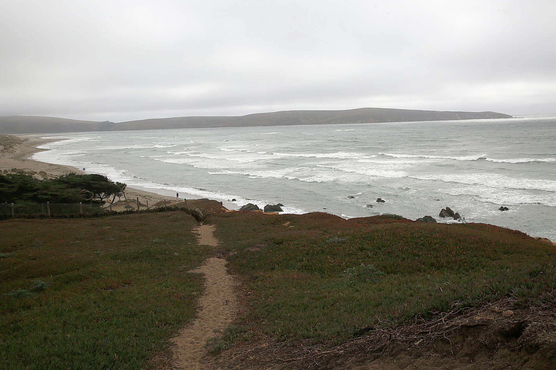 Surfer escapes injury in shark attack off Marin County coast