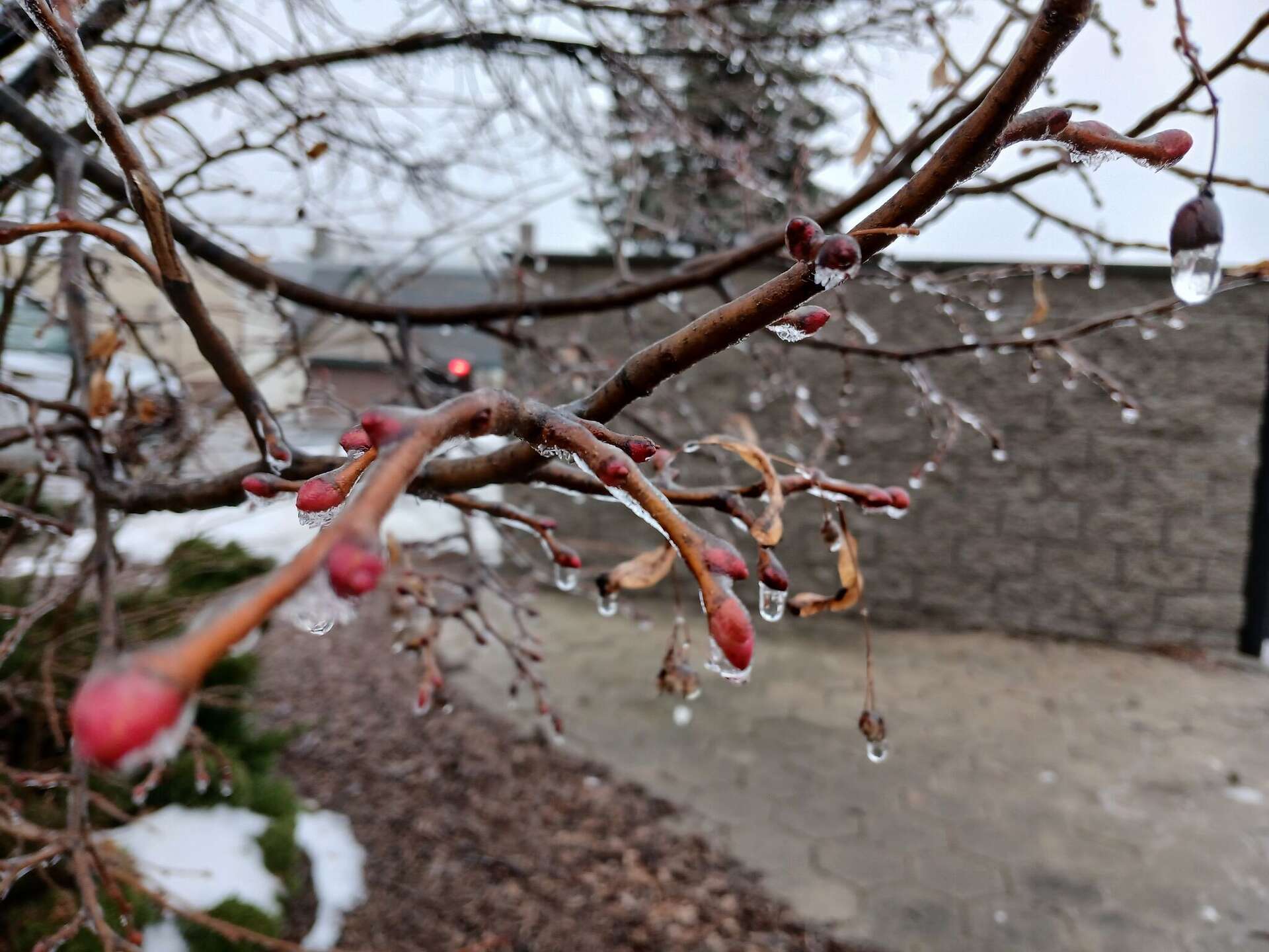 Manistee County's freezing rain should turn into rain today: Forecast