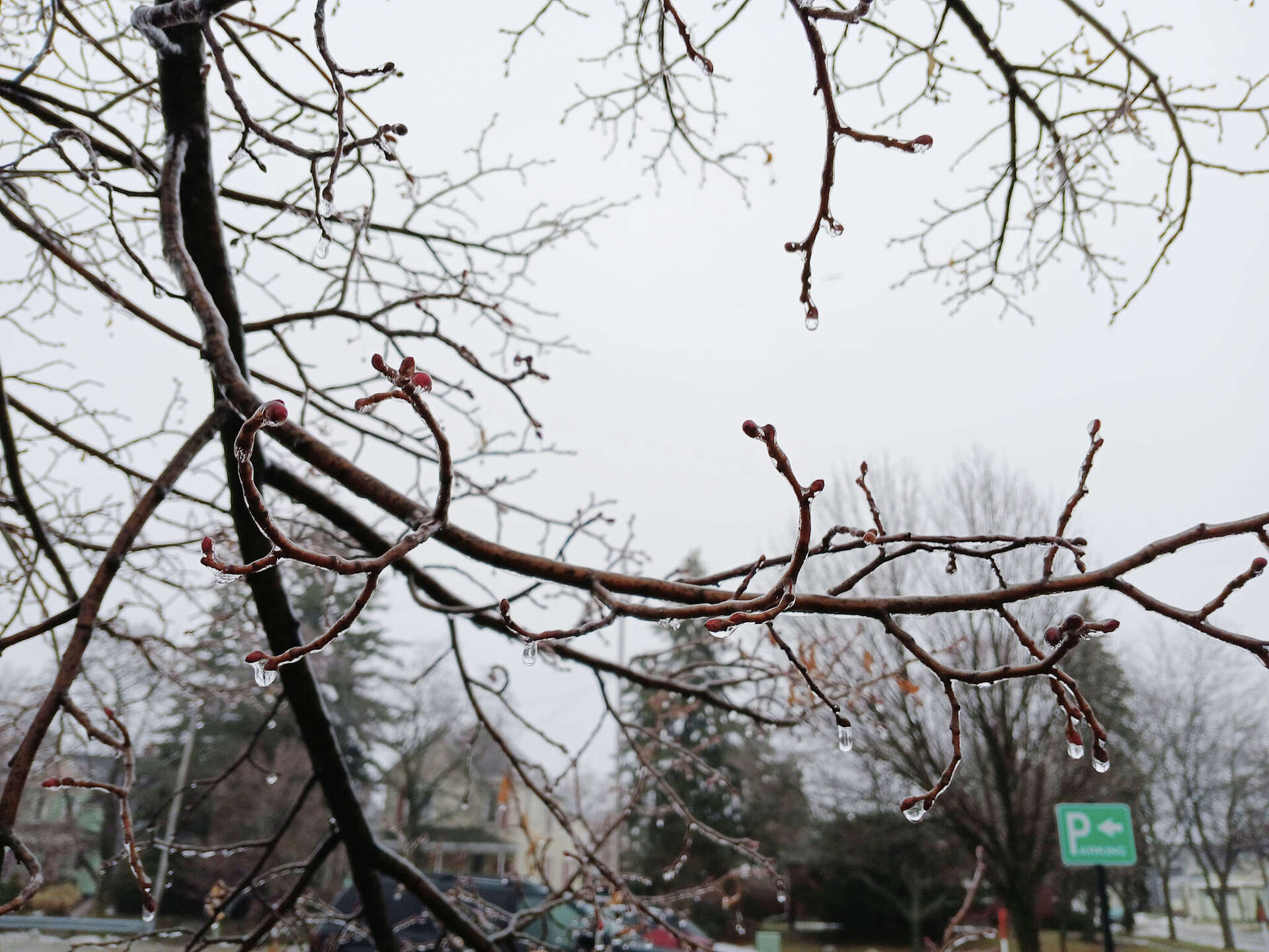 Manistee County's freezing rain should turn into rain today: Forecast