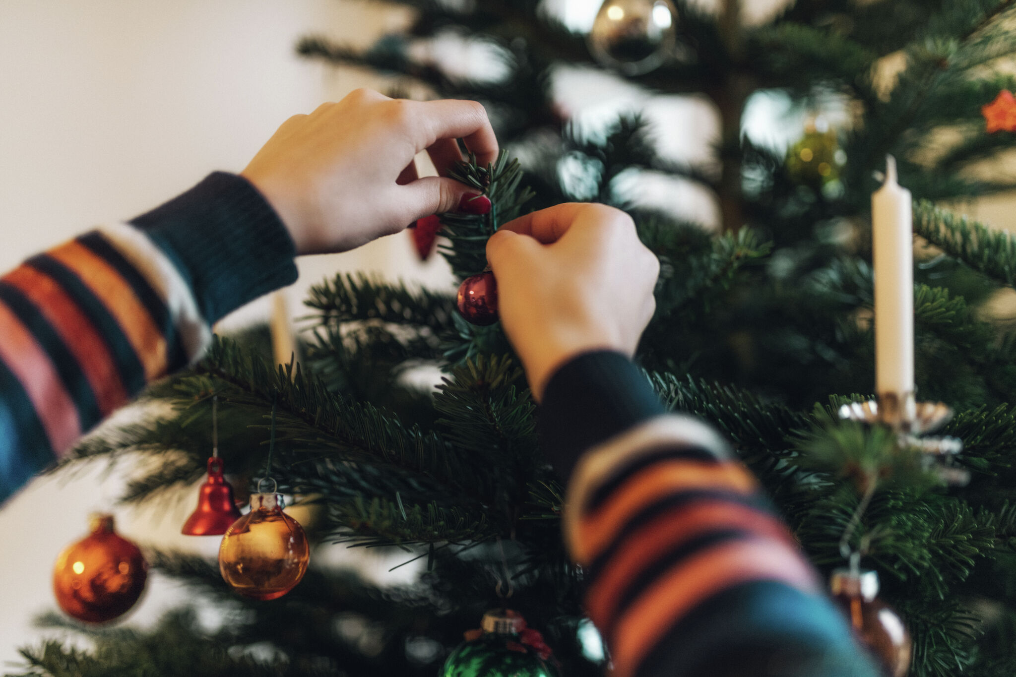Juan Negroni (opinion): The tree trimming that almost wasn’t