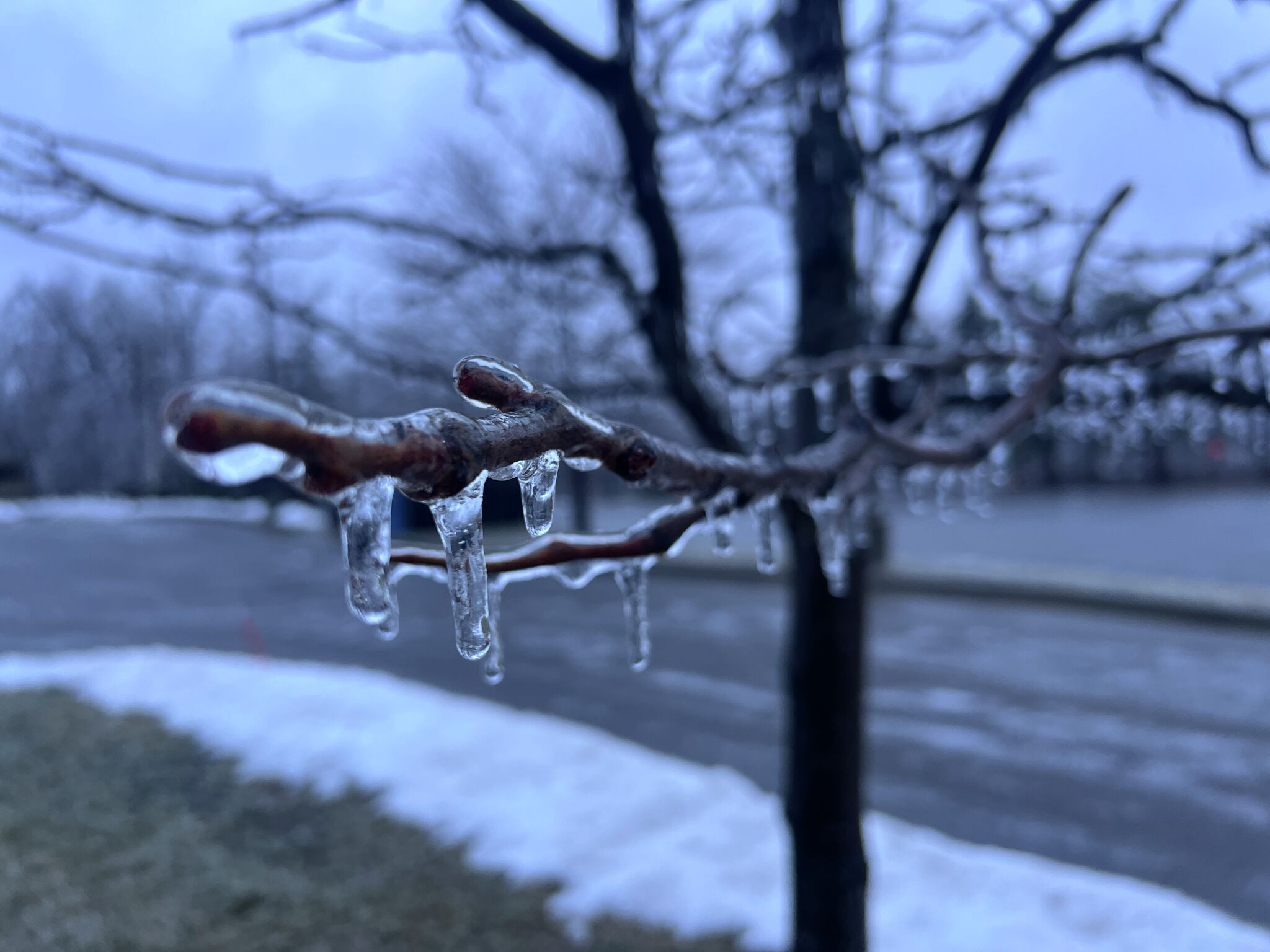 Winning numbers drawn in Friday’s Wisconsin All or Nothing