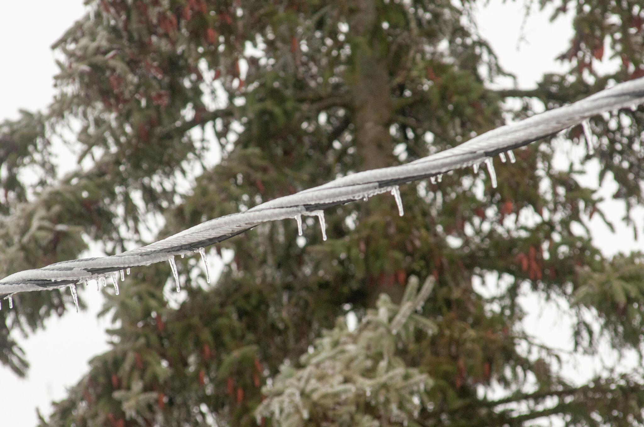 Mission accomplished: Allen, Ferris defense reigned supreme