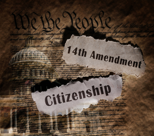 Birthright citizenship plain and clear — Mitchell Zimmerman
