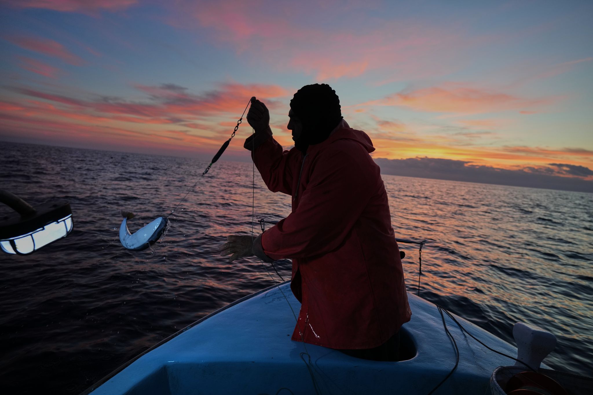 Cypriot fishermen battle invasive lionfish and turn them into a tavern ...