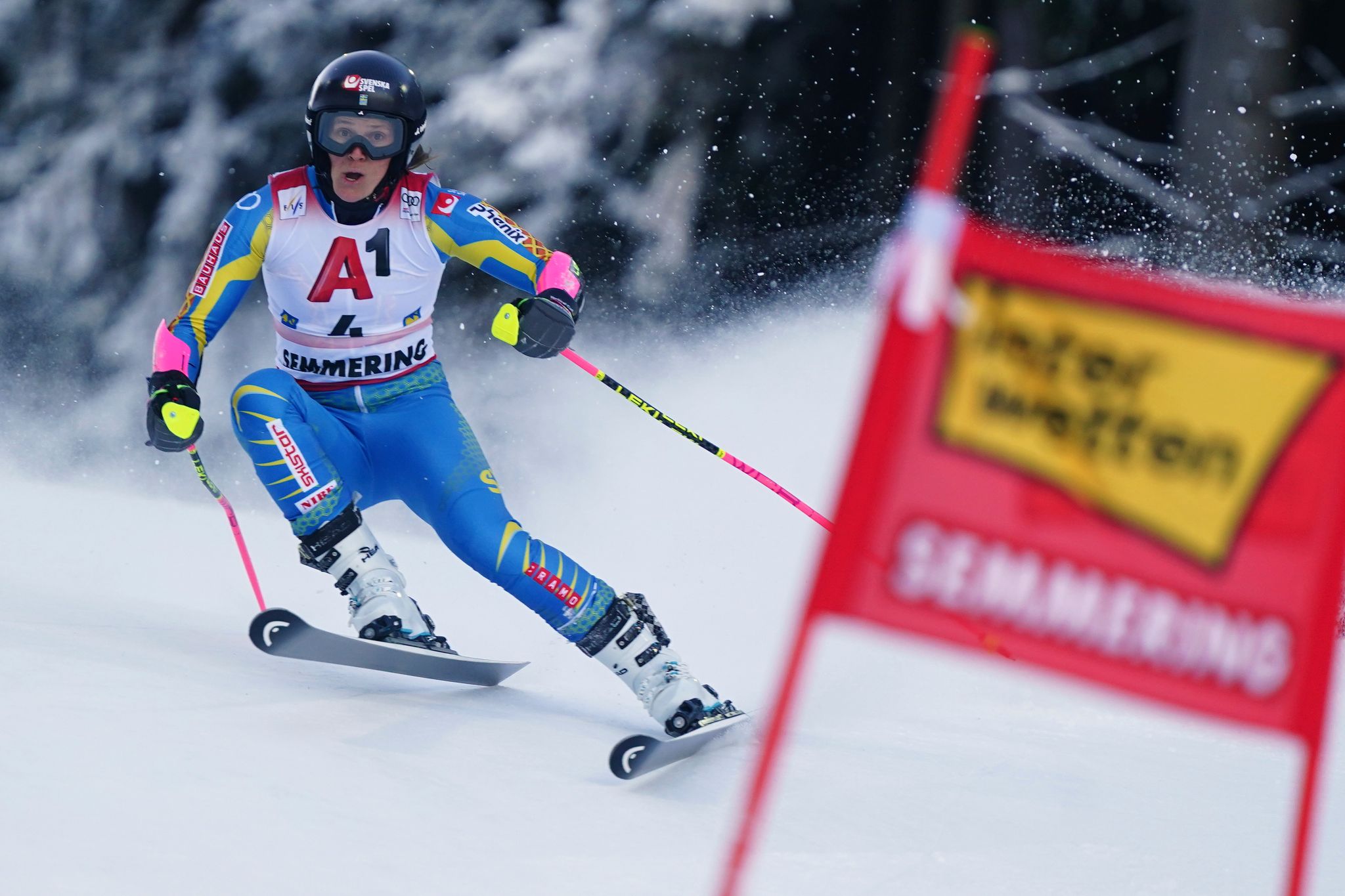 Olympic champion Sara Hector leads World Cup GS after 1st run. Mikaela ...