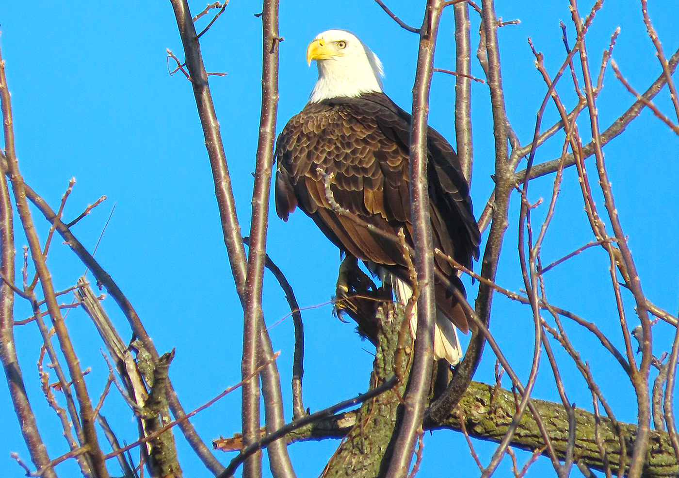 Winning numbers drawn in Sunday’s Washington Hit 5